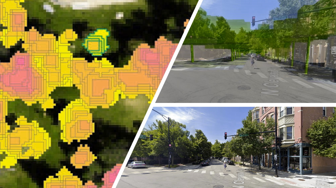 Trees - Chicago, Illinois - Tree Canopy, Crowns, Contouring and ...