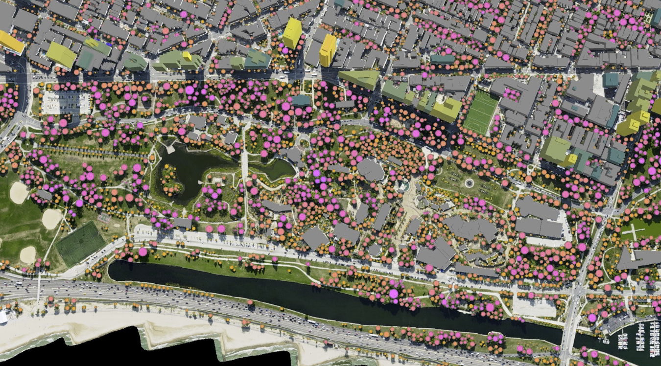 Trees - Chicago, Illinois - Single Tree Mapping with Cartographic ...